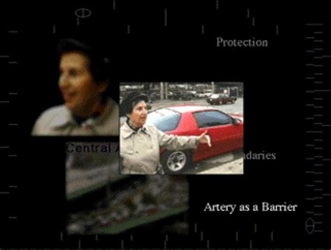 Screen Shot From The Browser Download Scientific Diagram