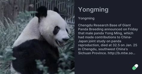 Yongming Yongming Pump