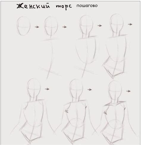 Как Нарисовать Человека Аниме 64 Фото
