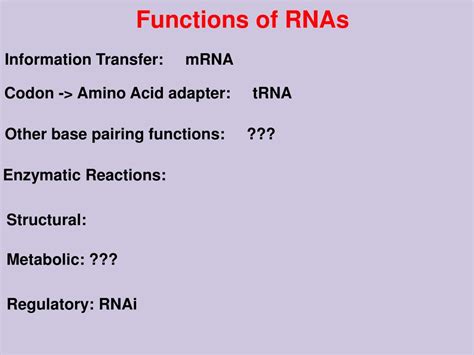 Ppt Class 5 Rna Structure Prediction Powerpoint Presentation Free
