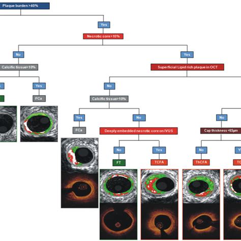 Schematic Representation Of The Methodology Implemented To Classify