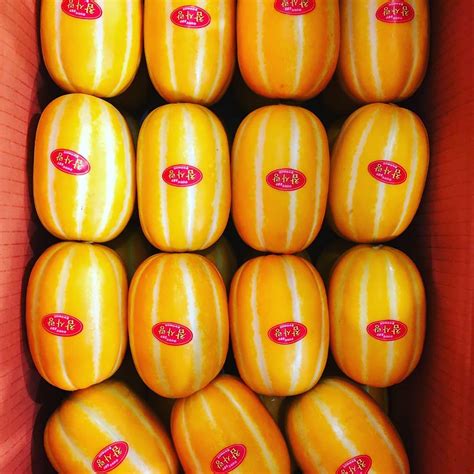 이해진 드디어 드디어 첫참외출하 진짜맛있다 나의 피땀들~~ 잘해보자2019 고진감래