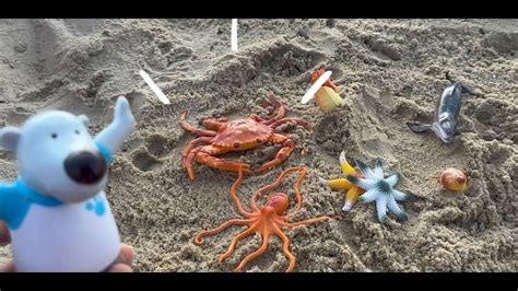 뽀로로 친구들이 바다 친구들이랑 함께 놀았어요 장난감 애니 토이쿵쿵tv Youtube