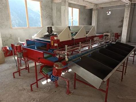 automatic apple grading machine at rs 180000 in ambala id 2853925207755
