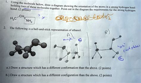 Using The Molecule Holding Below Two Draw A Of These