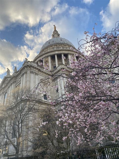 CSSC On Twitter RT Seear MyCSSC CSSC Official Spring Is Here