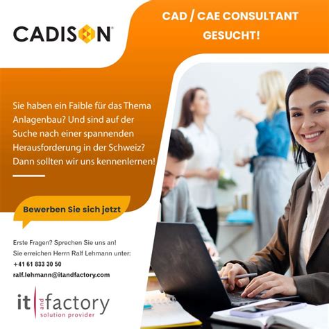 Cadison On Linkedin Cad Cae Consultant Pdf