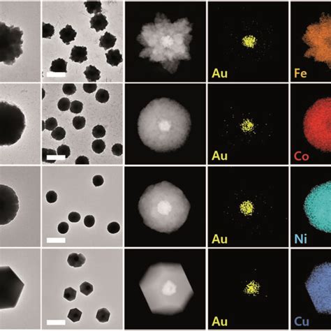 The Coreshell Nanoparticles Synthesized By Seed Mediated Selective Download Scientific Diagram The Coreshell Nanoparticles Synthesized By Seed Mediated Selective Download Scientific Diagram
