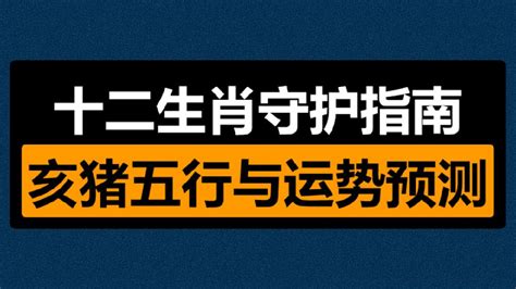 十二生肖守护指南亥猪五行与运势预测 亥猪 五行 运势 新浪新闻