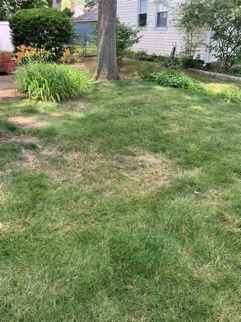 Cant Figure Out Whats Wrong Any Ideas Rlawncare