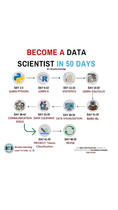 Data Scientist Roadmap Your 50 Day Guide