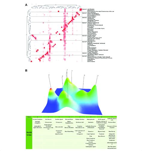 Visualization Of Biclustering Analysis A Matrix Visualization Of Download Scientific Diagram