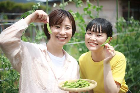 Pea Peptide One Stop Solution For Cosmetic And Personal Care Raw Material