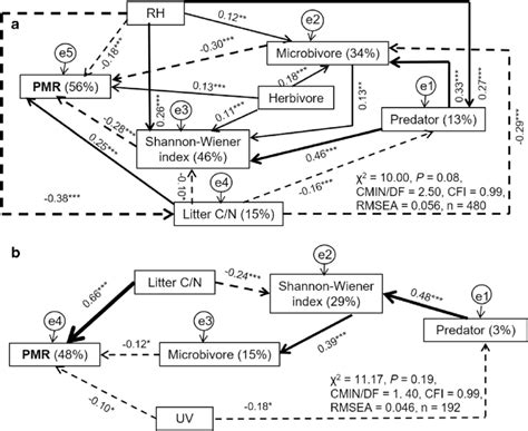 Structural Equation Model Depicting The Direct And Indirect Influences