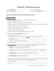 Exploring Cell Structure And Function In Lab Report Course Hero