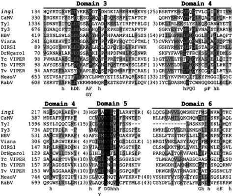 Multiple Sequence Alignment Of Members Of The Rt And Rna Directed Rna
