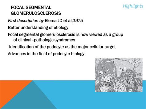 Pdf Classification Of Glomerular Disease Dokumentips