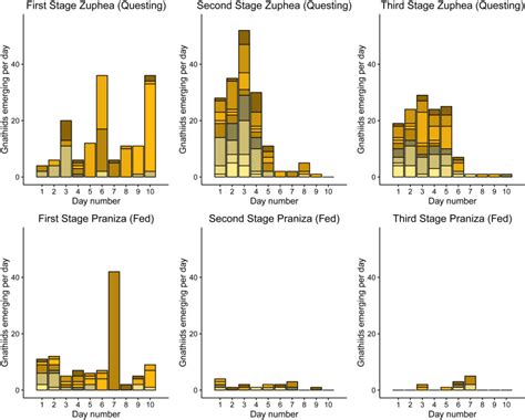 Histograms Of Emergence Counts From The Time Series Emergence Traps