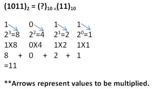 Number System For Class Computer Science Tutorial