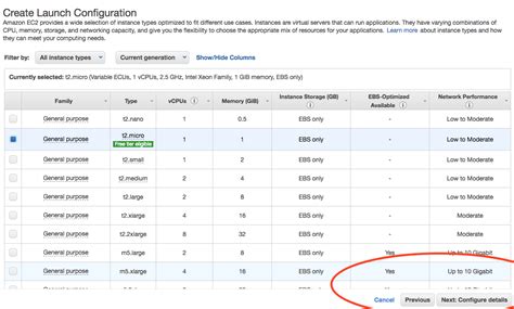 scaling horizontally autoscaling group — launchcode gis devops