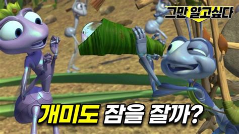 주변에 갑자기 보이는 개미들 개미도 겨울잠을 잘까 Youtube