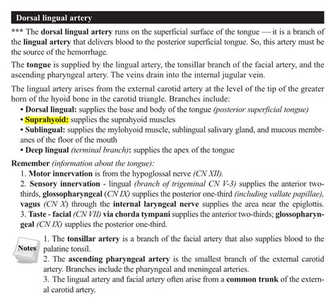 Dorsal Lingual Artery 1 The Tonsillar Artery Is A Branch Of The Facial