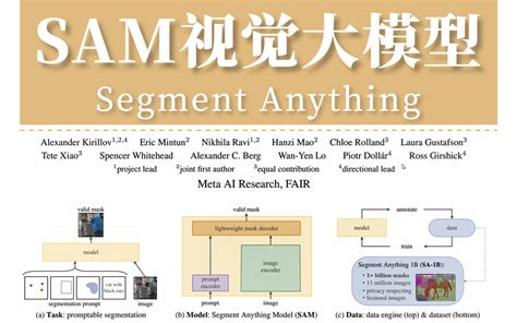 Cv不存在了？meta最新计算机视觉大模型—segment Anything Meta，分割一切，强到离谱！迪哥从零解读sam模型