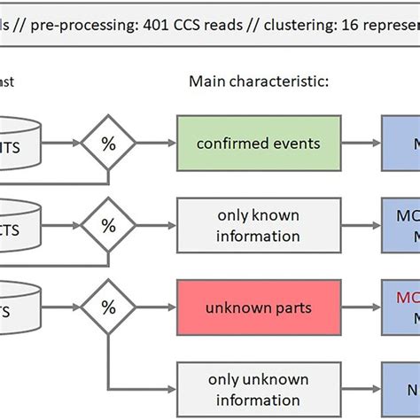 Schematic Overview Of The Data Analysis Workflow CCS Reads Are First Download Scientific