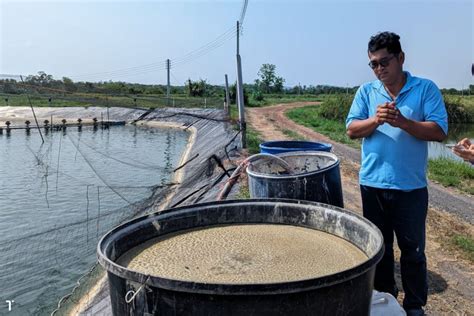 Khi Mua Men Vi Sinh C N Quan T M