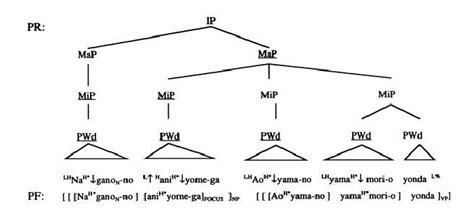 Syntax Phonology Interface Research Paper Iresearchnet