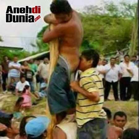 Gambar Lucu Paling Beda Jarang Ada Berita Aneh Dan Unik Terbaru