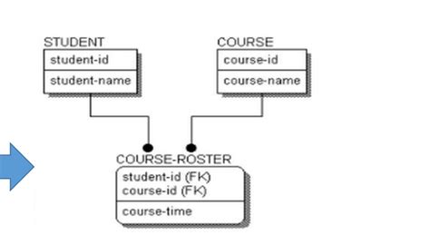 Solved Draw Eer Model Like This Notation And The Schema For