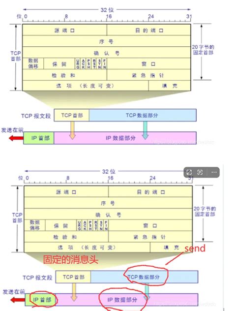 Protobuf原理和使用protocol Buffers使用 Csdn博客 Protobuf原理和使用protocol Buffers使用 Csdn博客
