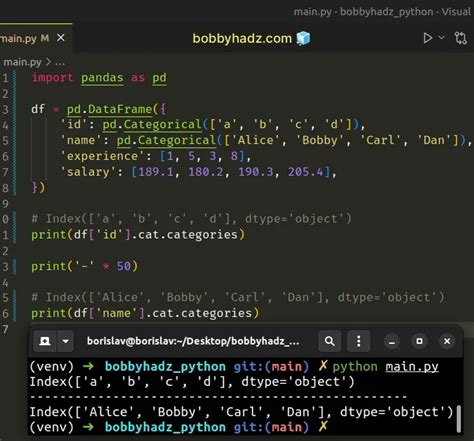 pandas get a list of categories or categorical columns bobbyhadz