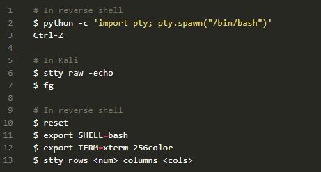 Netcat Reverse Shells And How They Are Used By Pentesters