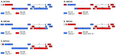 Recombination Pattern Of Five Hiv 1mo Recombinant Forms The Group Download Scientific Diagram