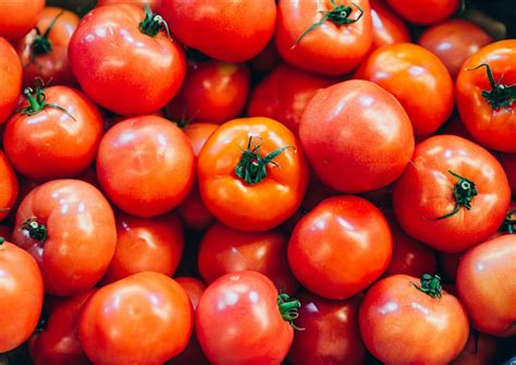 Bulk Buy Tomatoes Wholesale Kff