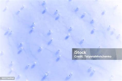 블루 파란색 반투명 직물 비즈 자 수 디자인에 대 한 완벽 한이 매우 고급 스러운 소재는 다음 특별 한 프로젝트를 위한 완벽 한