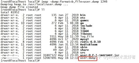 如何生成和查看dump文件 知乎