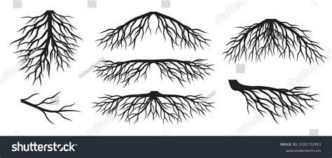 Collection Tree Roots Vector Outline Illustration Stock Vector Royalty Free