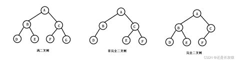 数据结构中的“树”形结构树形结构 Csdn博客