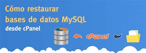 Como Restaurar Un Respaldo De Base De Datos MySQL En CPanel Infranetworking