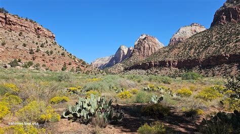 단독 기업 가족 친지 4박5일 라스베가스그랜드캐넌 자이언캐넌 홀스슈즈 죠슈아트리 엔팁롭 줌줌투어 미국 La