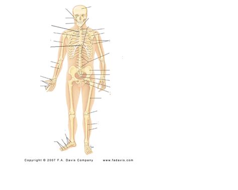 Labeling Quiz Diagram Quizlet