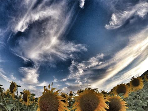 The Blockchains Most Radical Value Proposition Iulian Circo