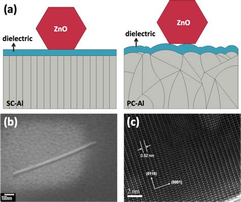 Schematics Of The Zno Nanowires Formed On The Tops Of The Single And Download Scientific