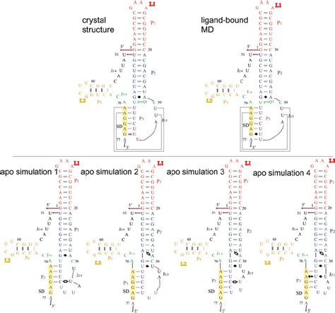 Summary Of Simulations Using Secondary Structure Diagrams Showing Download Scientific Diagram