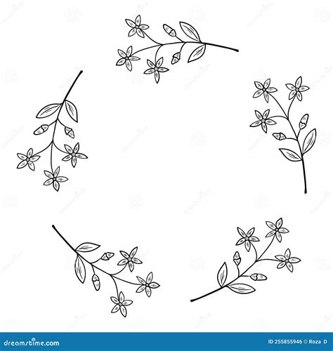 Centaury Frame Border Vector Illustration 212577412