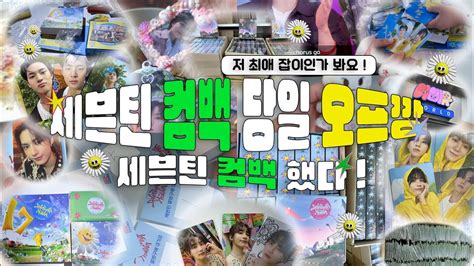 캐럿 브이로그 캐럿들의 쿵치 팍치 컴백 당일 앨범 오프깡 • 캐럿들의 세븐틴 음악의 신 뮤비 리액션 • 나 최애 잡이인가