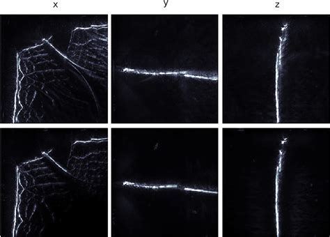 Figure 1 From Three Dimensional Photoacoustic Tomography In Bayesian Framework Semantic Scholar